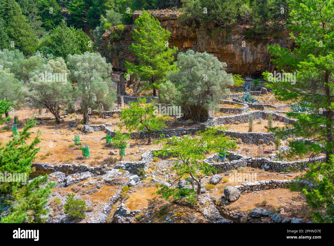 Agriculture at Samaria gorge at Greek island Crete Stock Photo - Alamy