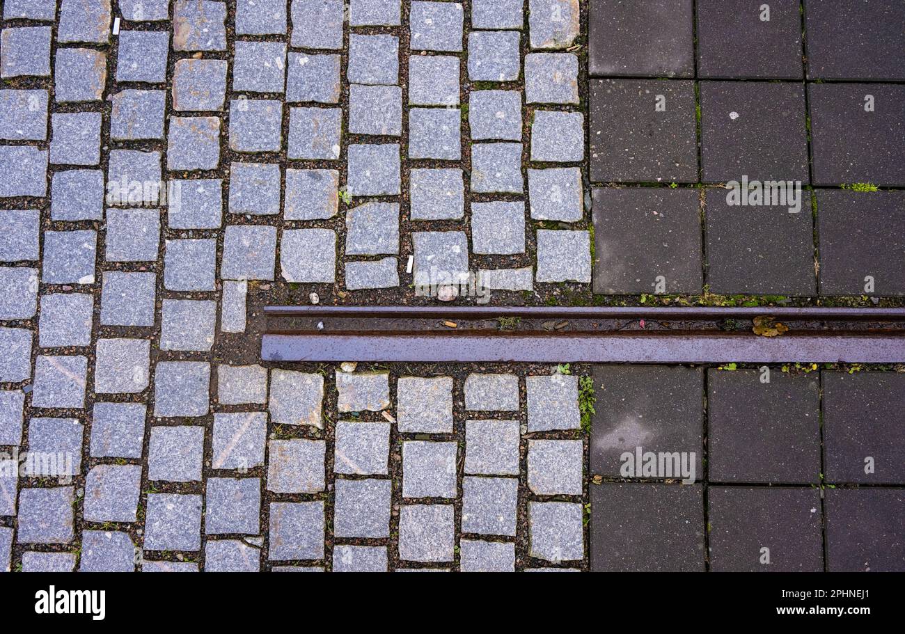 Animal tram transportation hi-res stock photography and images - Alamy