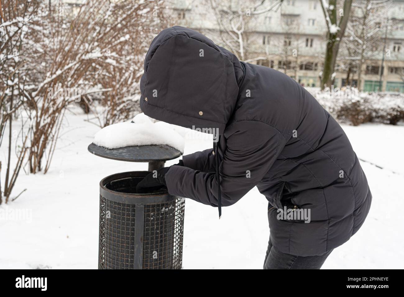 Homeless Man Rummages in a Trash Can, Collecting Empty Bottles, Beggar ...
