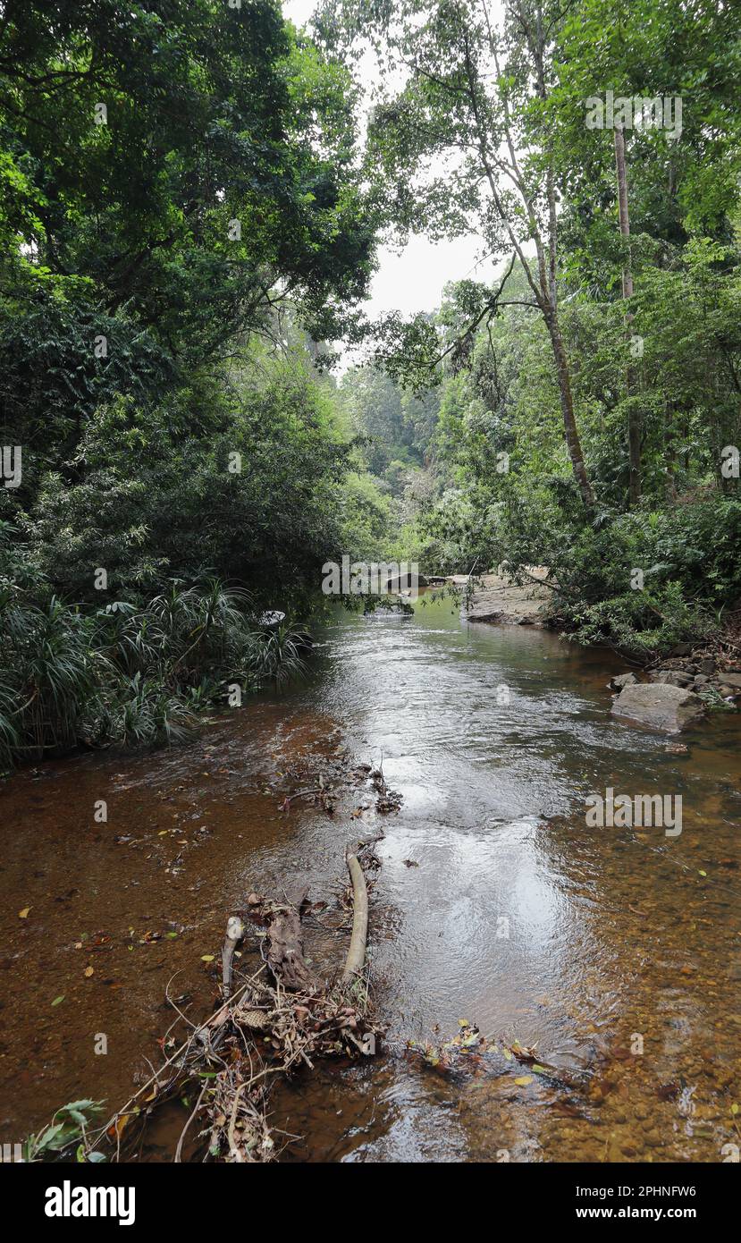 Revealing river bed hi-res stock photography and images - Alamy