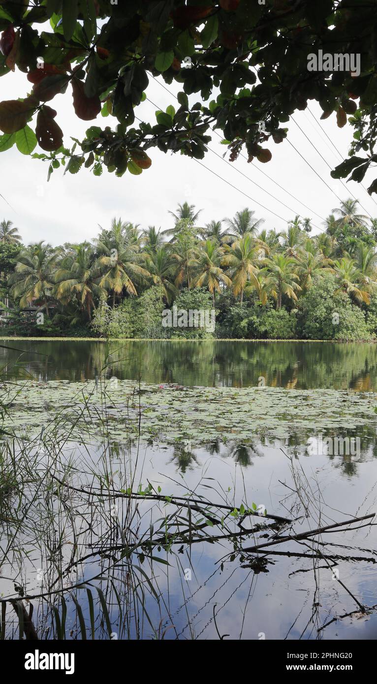 Bolgoda hi-res stock photography and images - Alamy