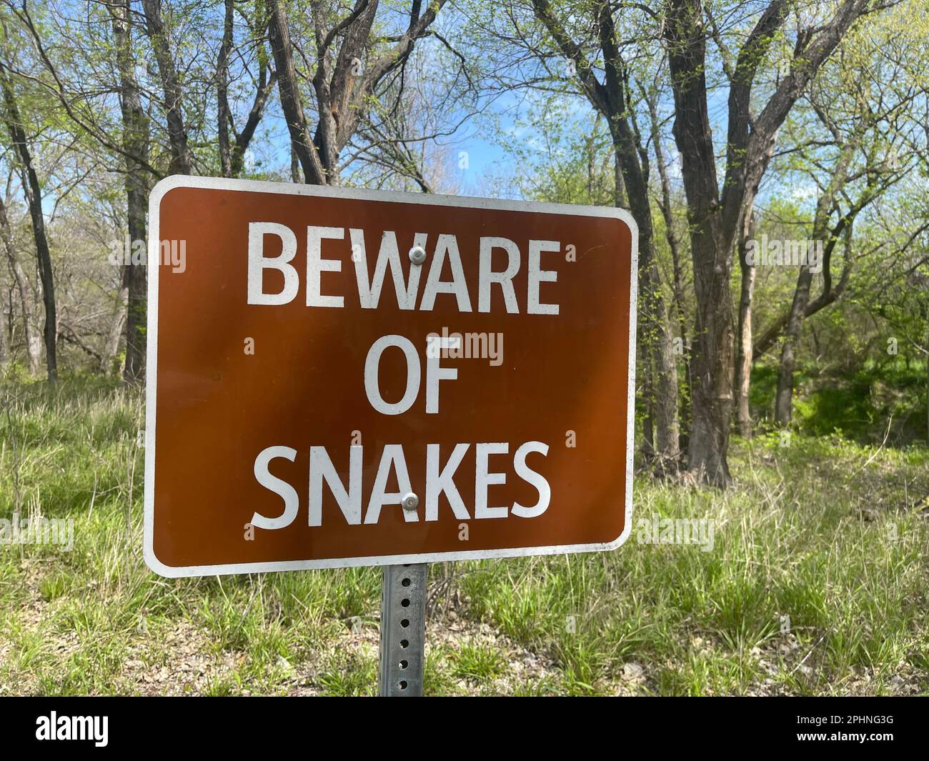 A rectangular sign featuring "BEWARE OF SNAKES" with a forest on the ...
