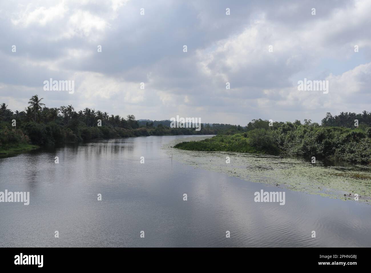 The Bolgoda river view in Sri Lanka. The river slowly flowing under the ...