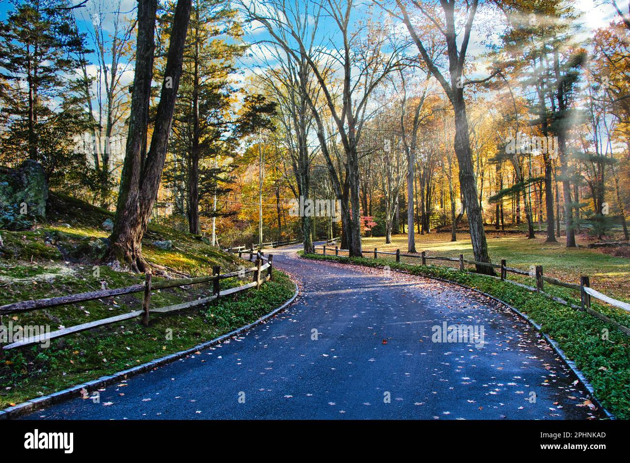 An idyllic park pathway is featured in this image, with lush green ...