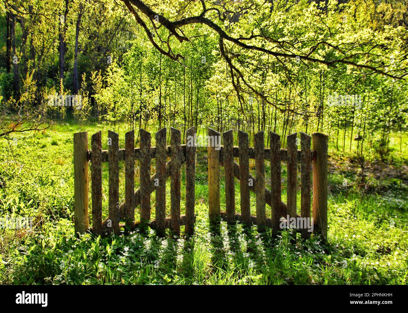 An Unconnected Old Gate in Larkollen, Norway Stock Photo - Alamy