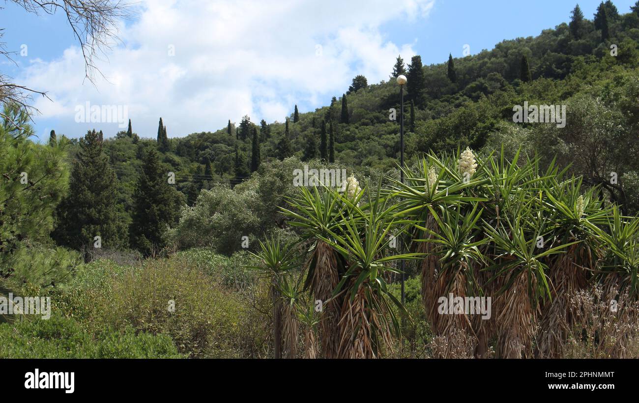 Greece, Corfu Mountain and Sea Life Stock Photo - Alamy