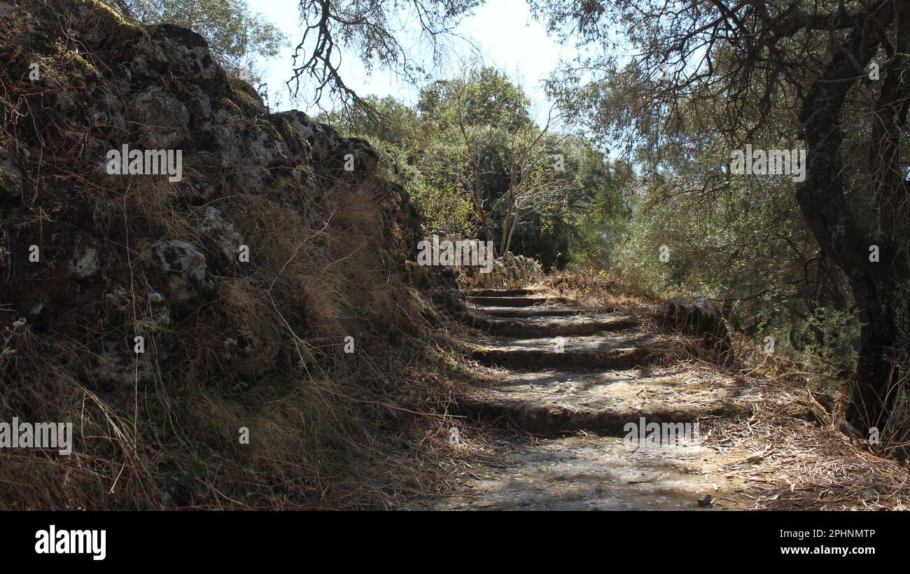 Greece, Corfu Mountain and Sea Life Stock Photo - Alamy