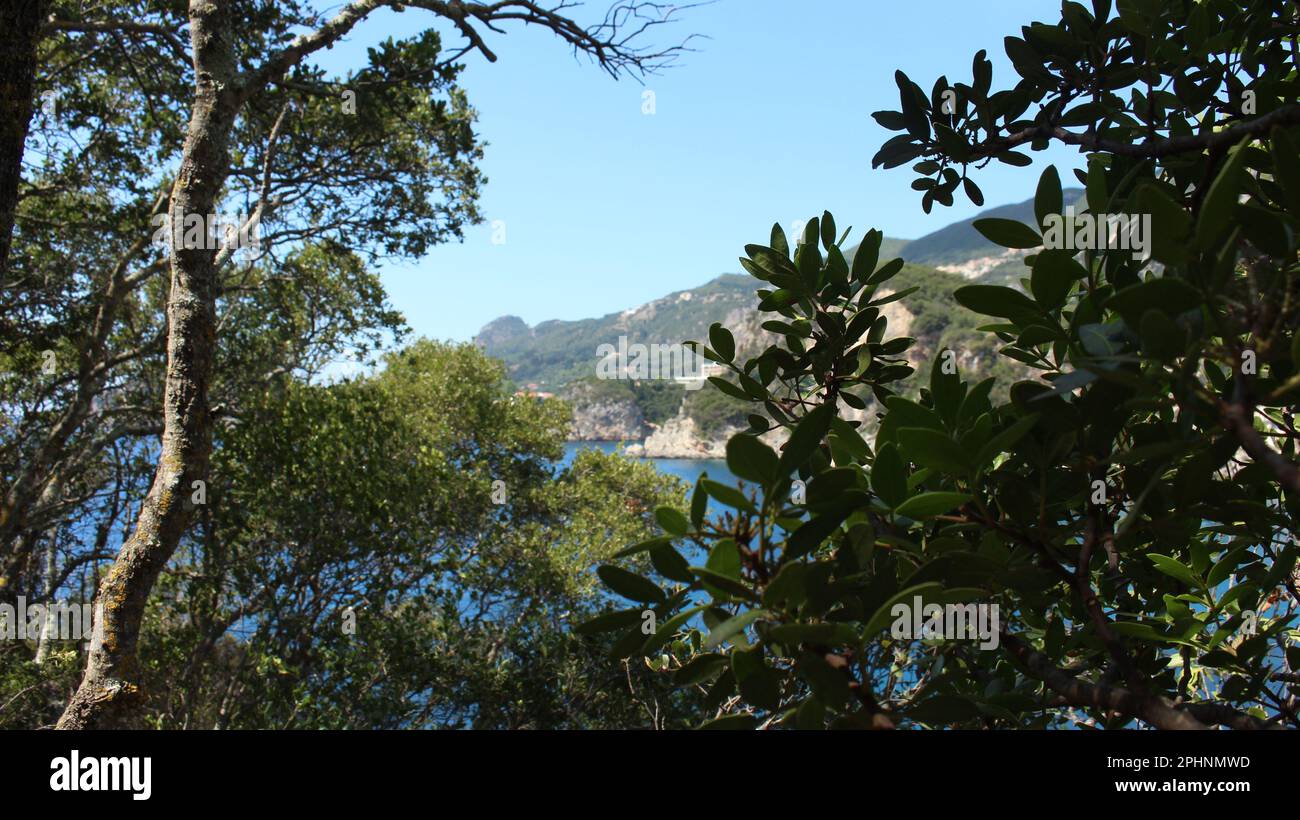 Greece, Corfu Mountain and Sea Life Stock Photo - Alamy