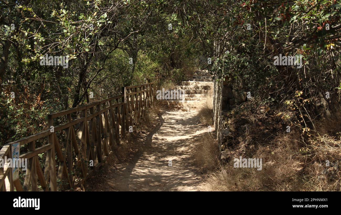 Greece, Corfu Mountain and Sea Life Stock Photo - Alamy
