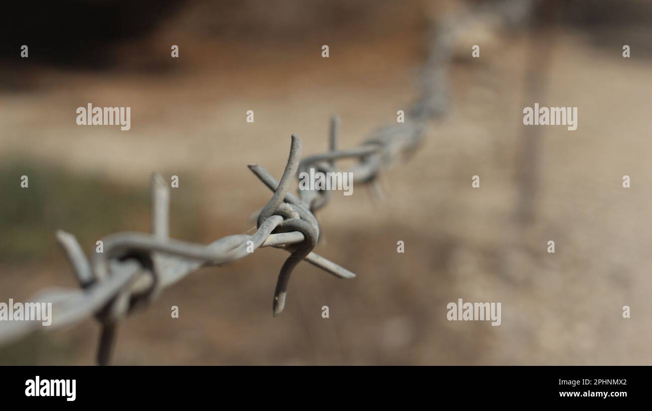Greece, Corfu Mountain and Sea Life Stock Photo - Alamy