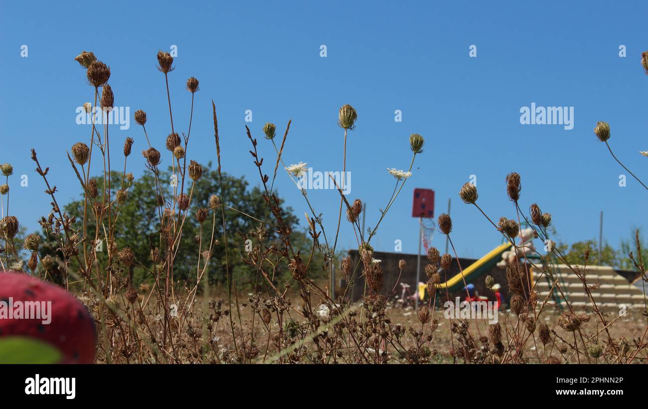 Greece, Corfu Mountain and Sea Life Stock Photo - Alamy