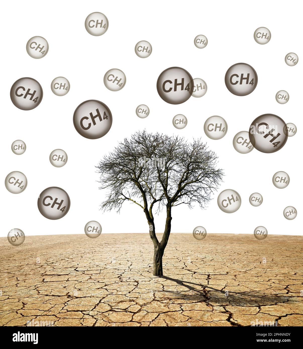 Tree in the arid landscape with bubble with CH4 text isolated on white ...