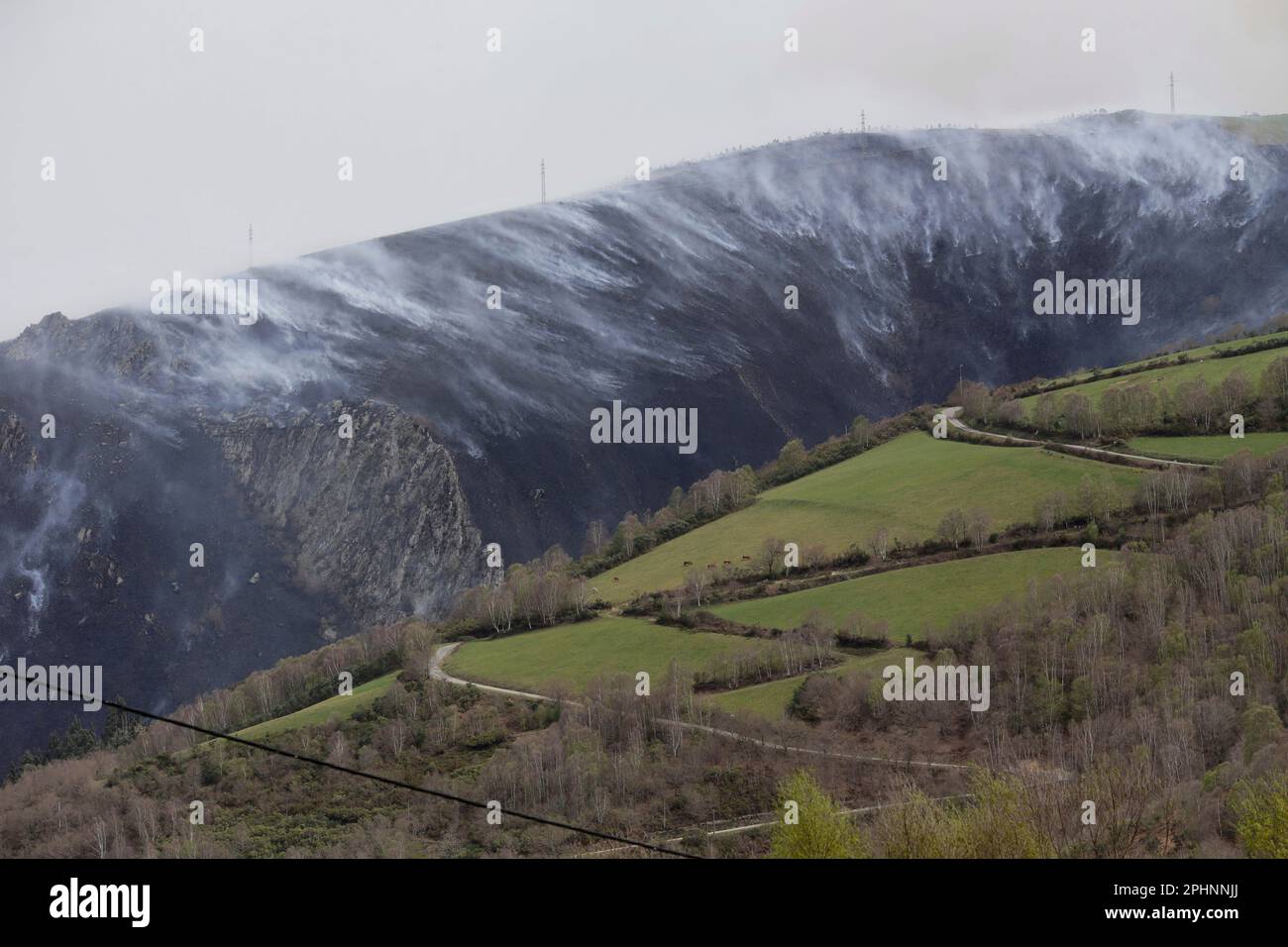 Vegetation affected by the forest fire, on March 29, 2023, in Baleira ...
