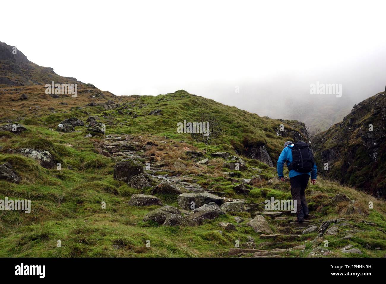 Man (Hiker) Walking up on Path by Ruddy Gill to Esk Hause via Stockley ...