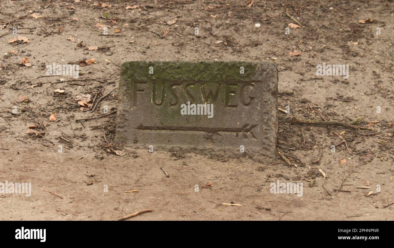 Forest Way To Zoo, Cologne, Germany Stock Photo - Alamy