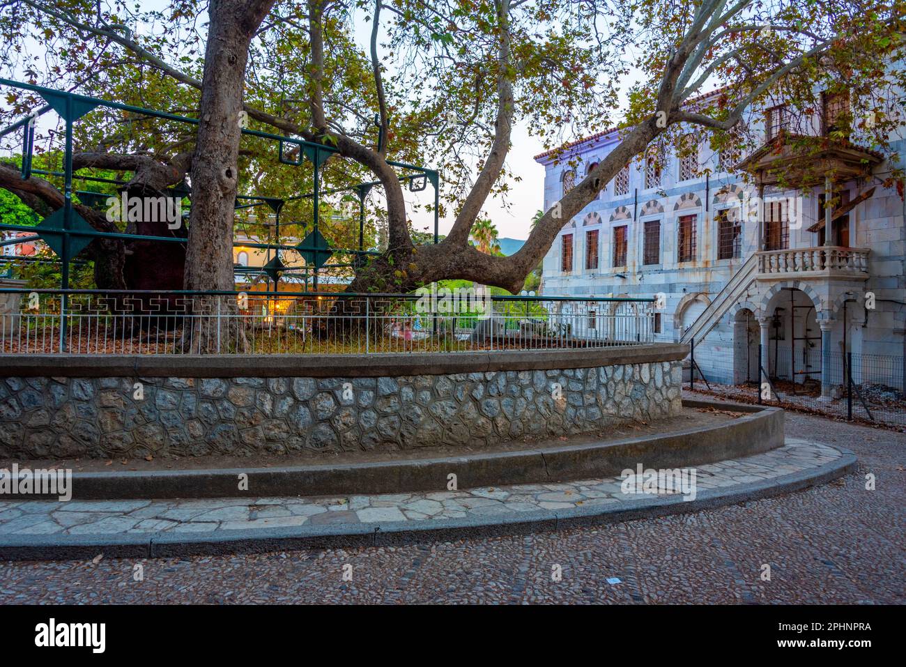 Sunset view of Hippocrates plain tree at Greek island Kos Stock Photo ...