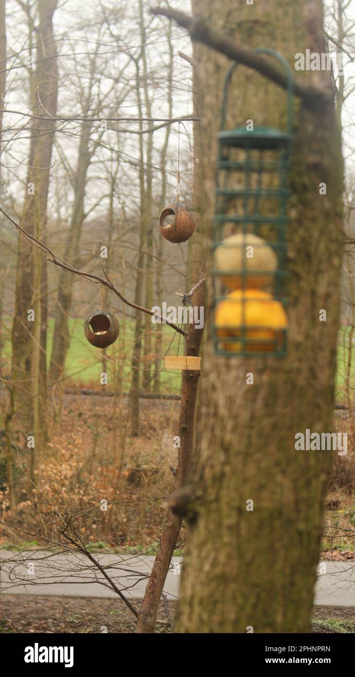 Forest Way To Zoo, Cologne, Germany Stock Photo - Alamy