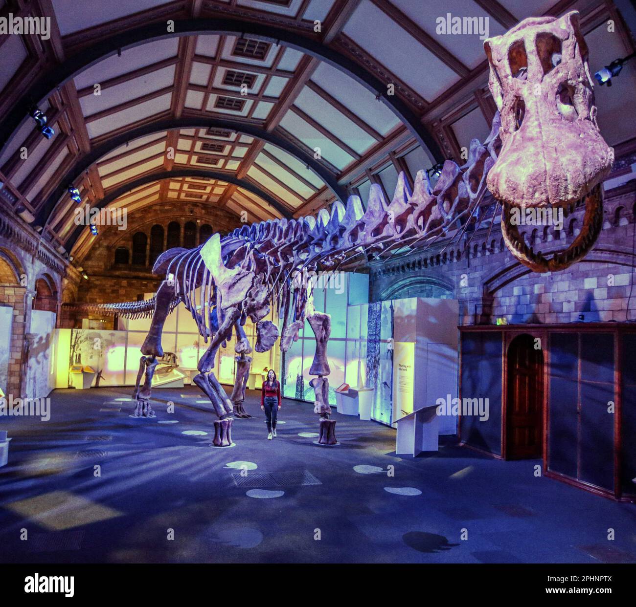 London, UK. 29th Mar, 2023. New Exhibition at the National History ...