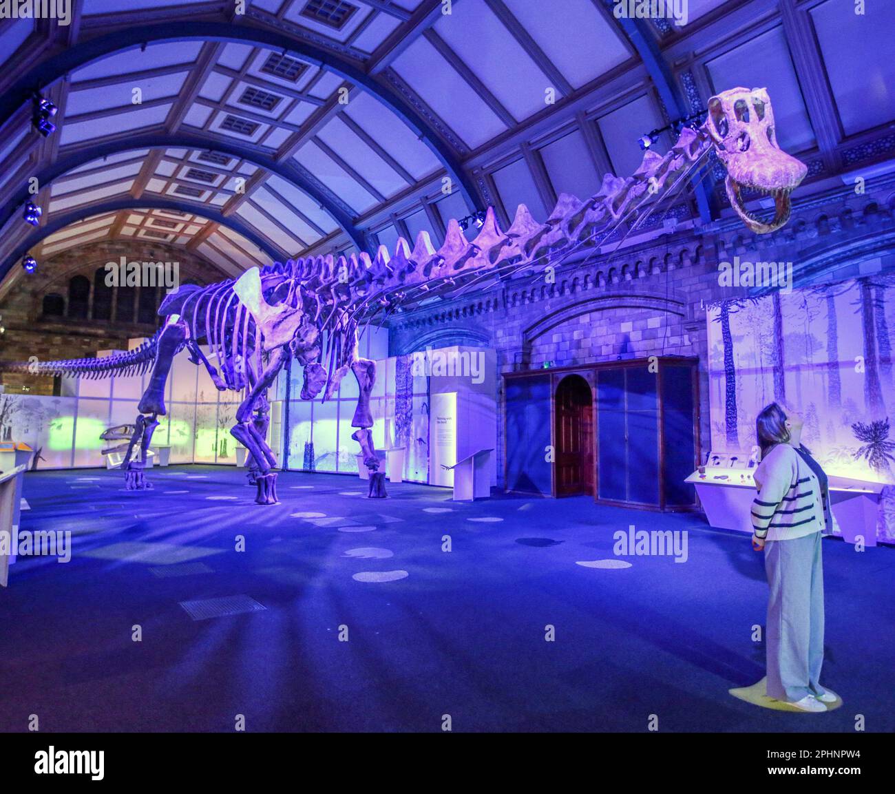 Cast in resign dinosaur hi-res stock photography and images - Alamy