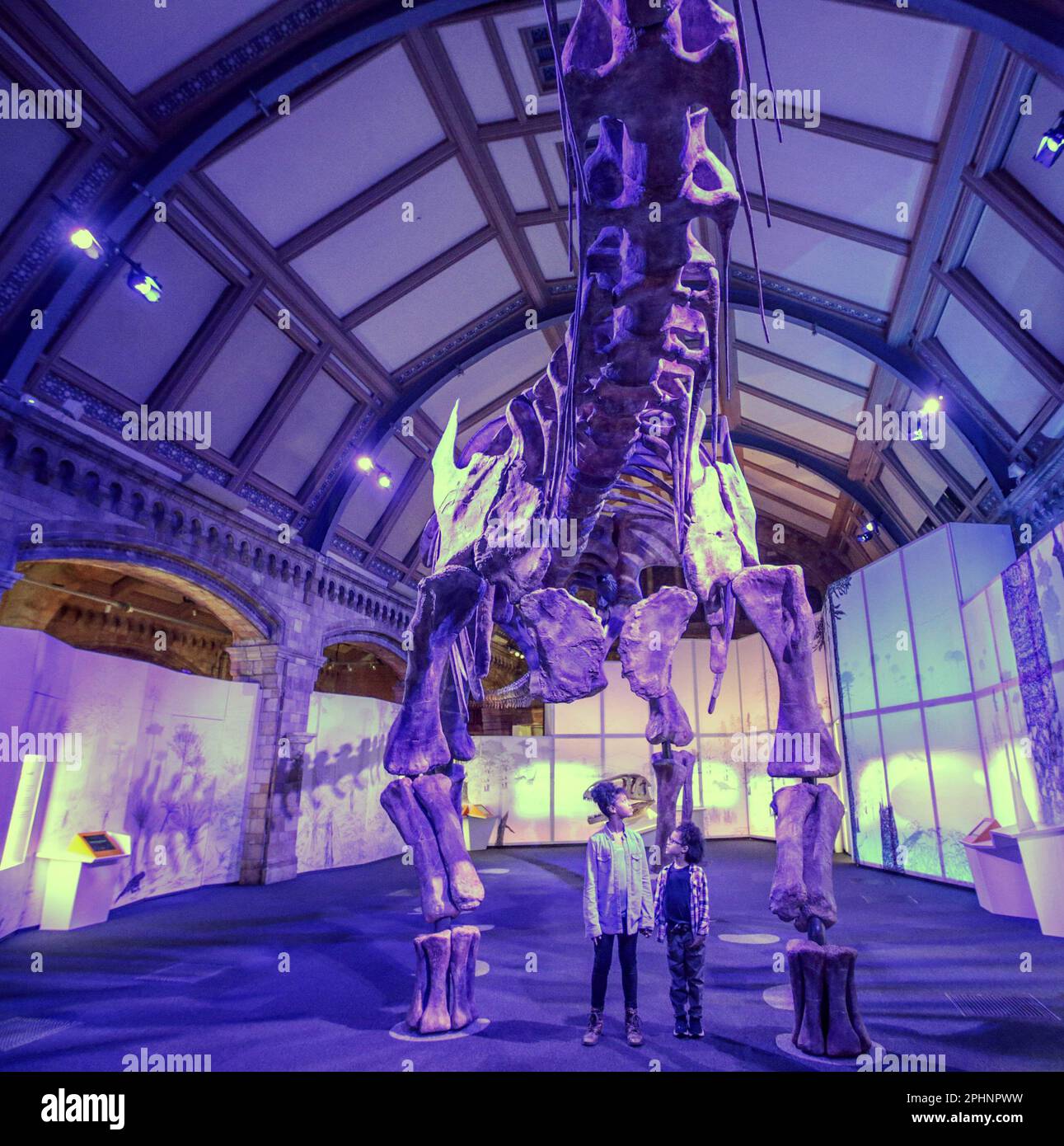 London, UK. 29th Mar, 2023. New Exhibition at the National History ...