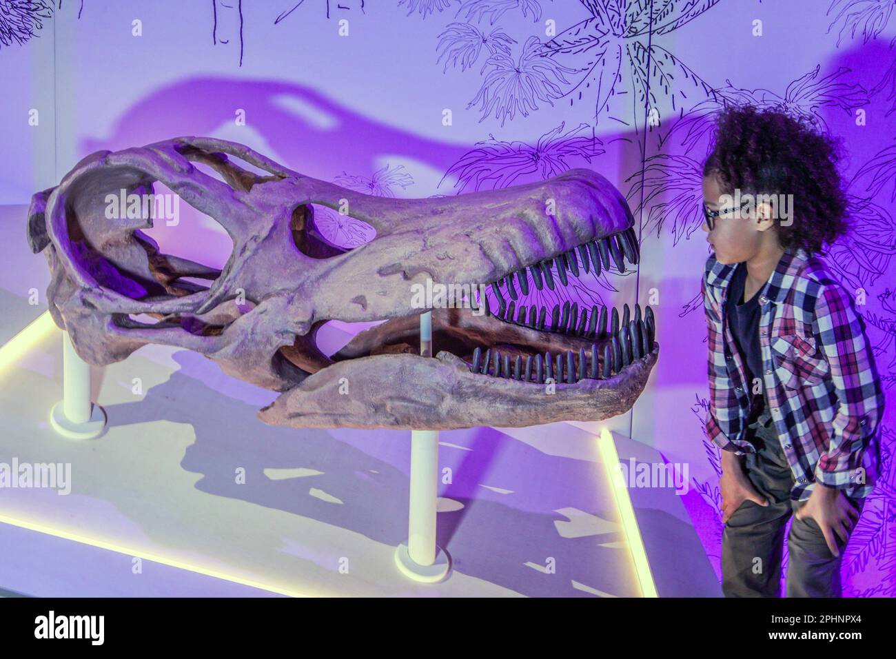 Cast in resign dinosaur hi-res stock photography and images - Alamy