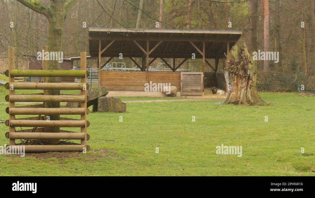 Open Wide Zoo in Cologne, Germany Stock Photo - Alamy