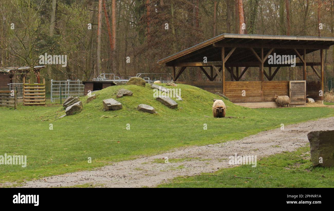 Open Wide Zoo in Cologne, Germany Stock Photo - Alamy