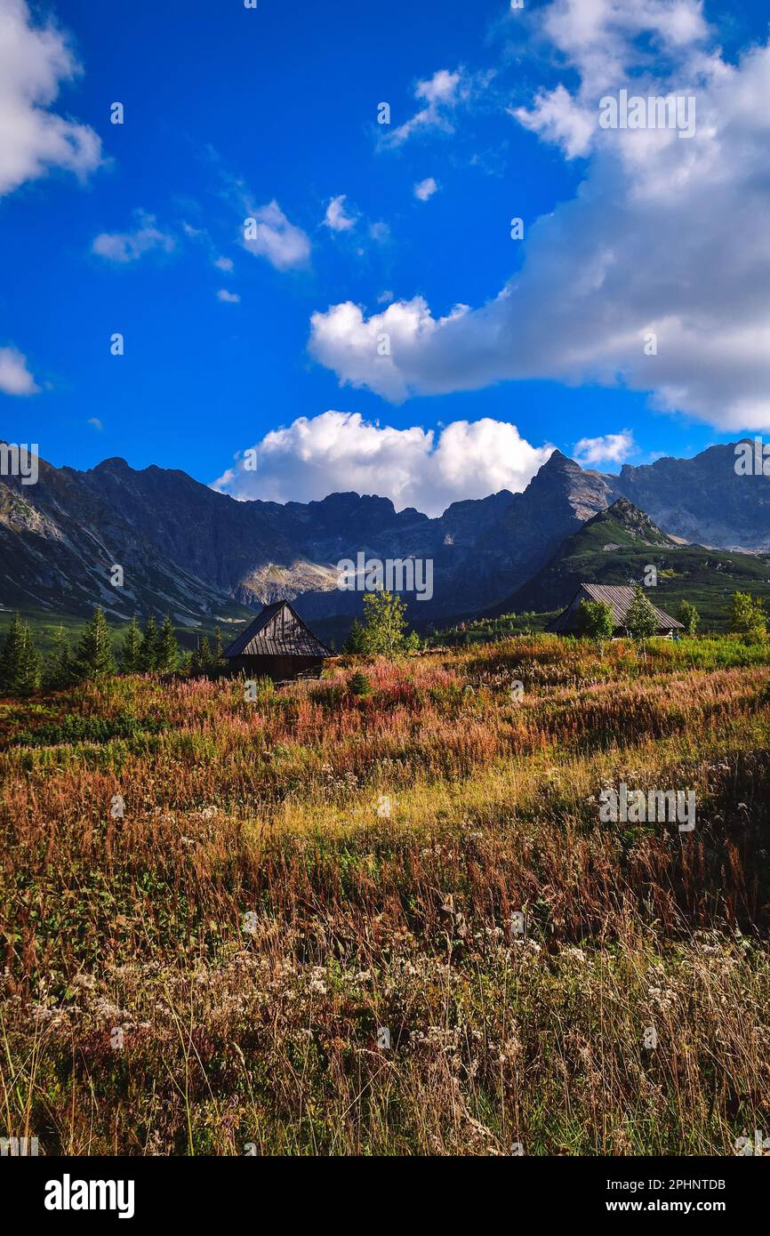 Beautiful mountain summer landscape. The famous Polish valley of ...