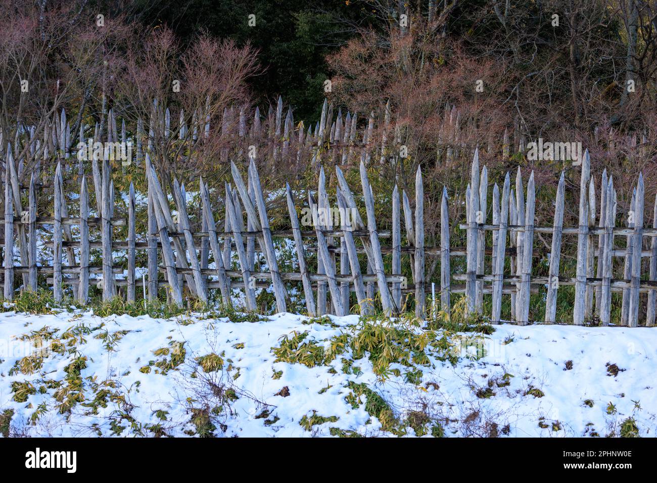 Sharpened stakes form defensive perimeter of historic encampment Stock ...