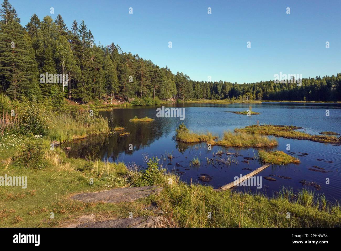 Norway, Oslo, the cosy Svartkulp Lake in the north of Oslo. Photo ...