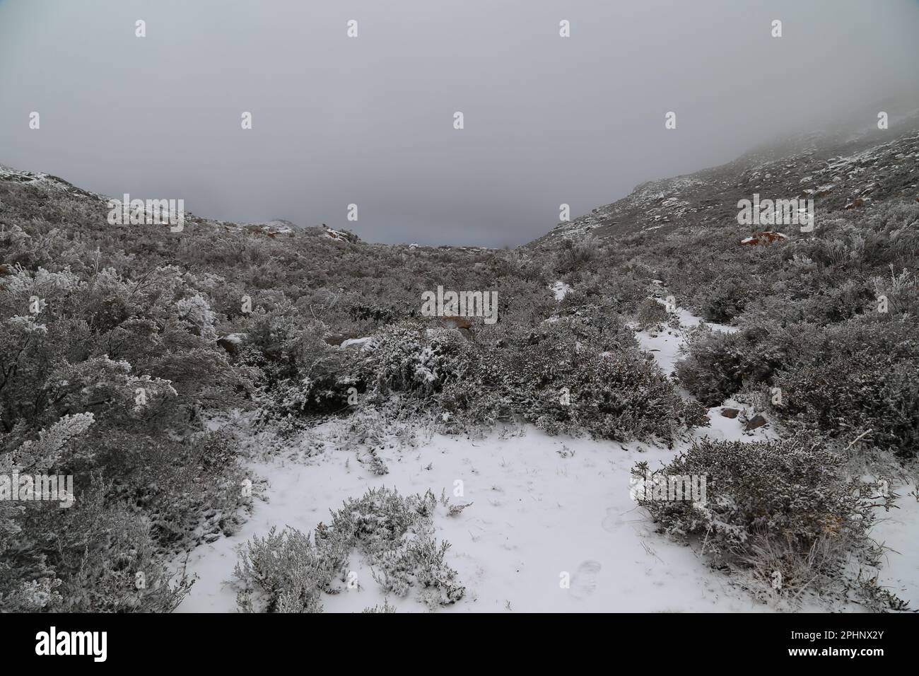 Winter landscape with snow in mountains of Serra do Geres natural park ...