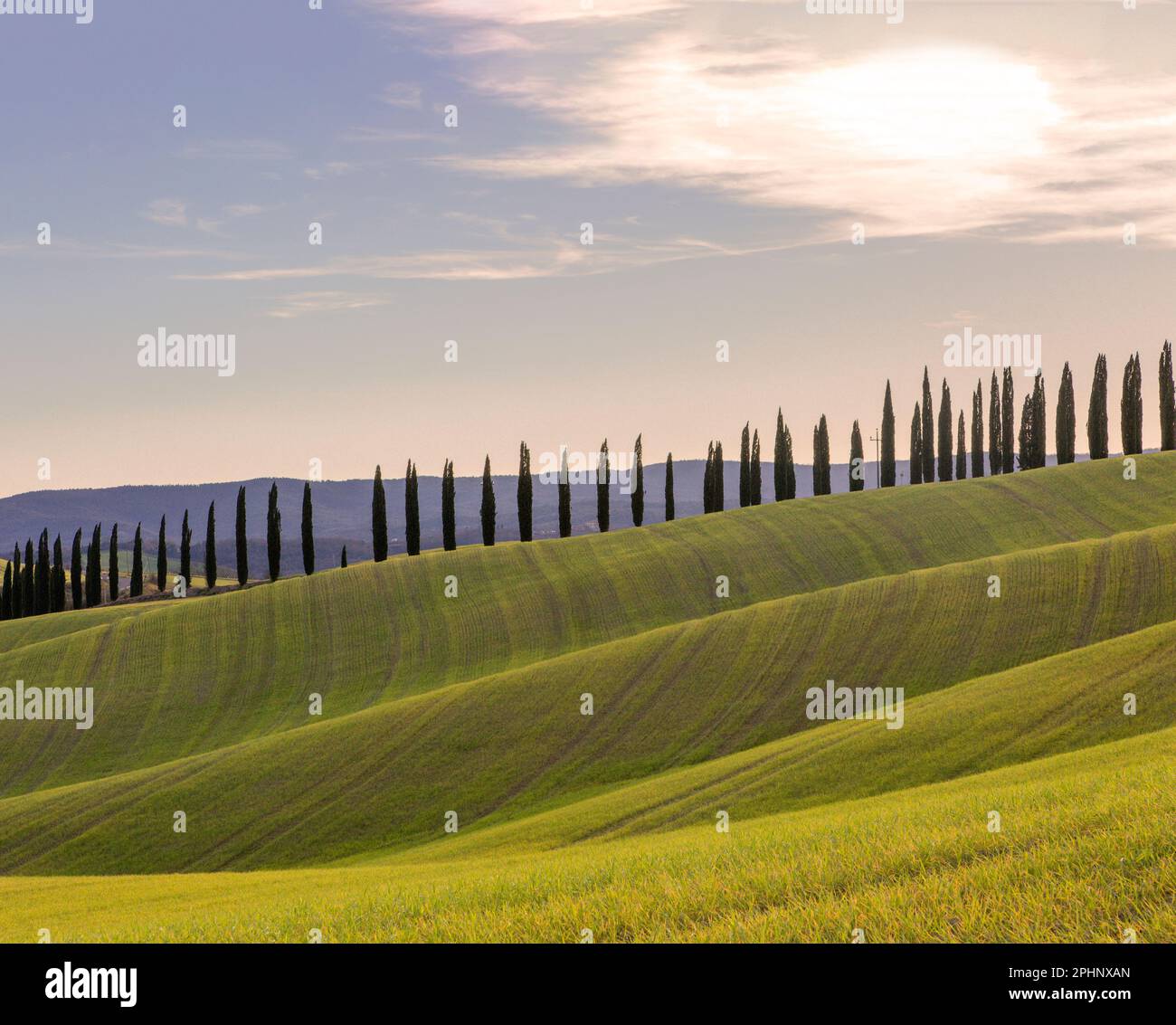 Tuscan soil hi-res stock photography and images - Alamy