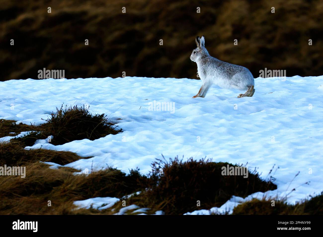 Coignafern estate hi-res stock photography and images - Alamy