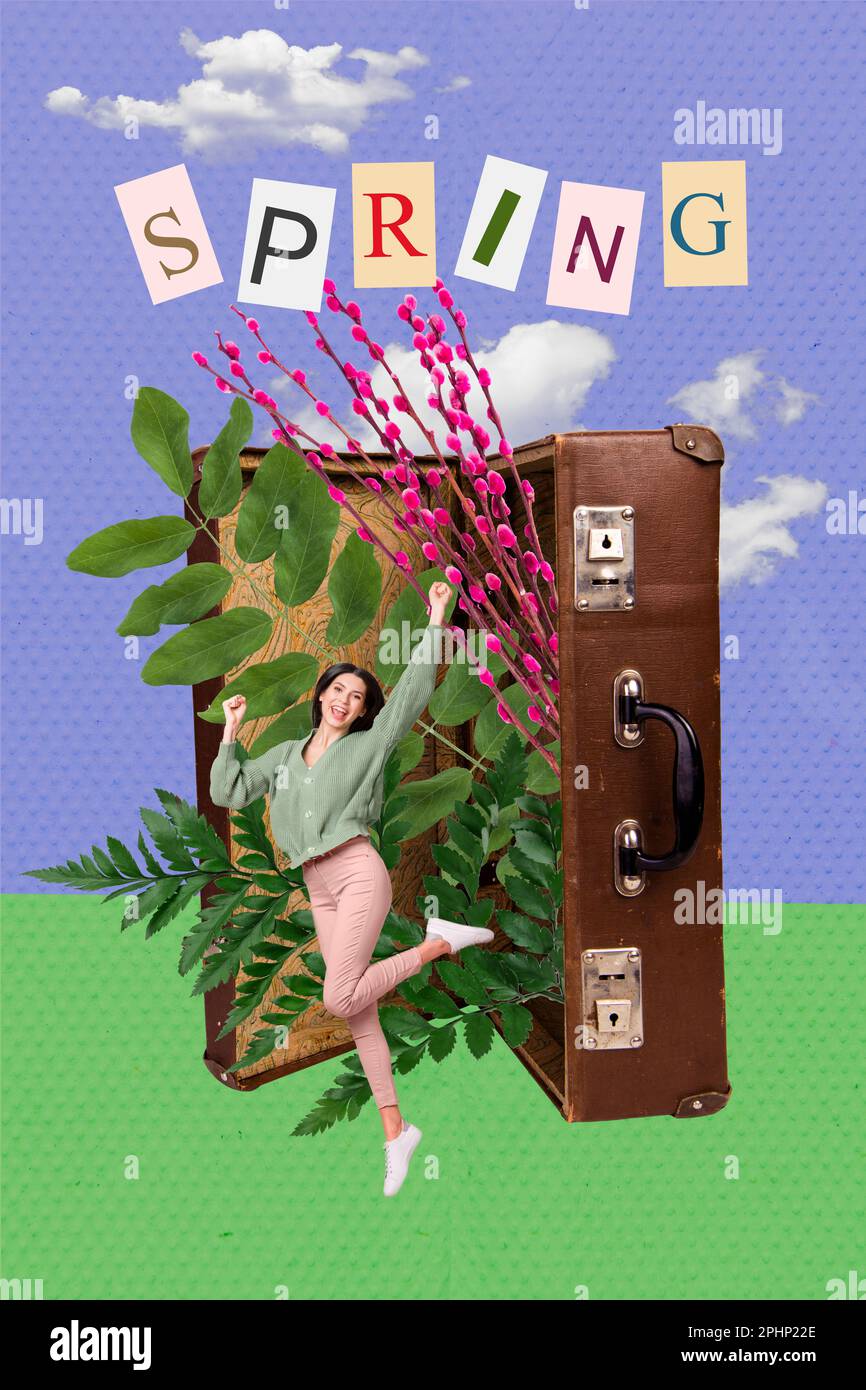 Image illustration sketch poster collage of overjoyed cheerful girl ...