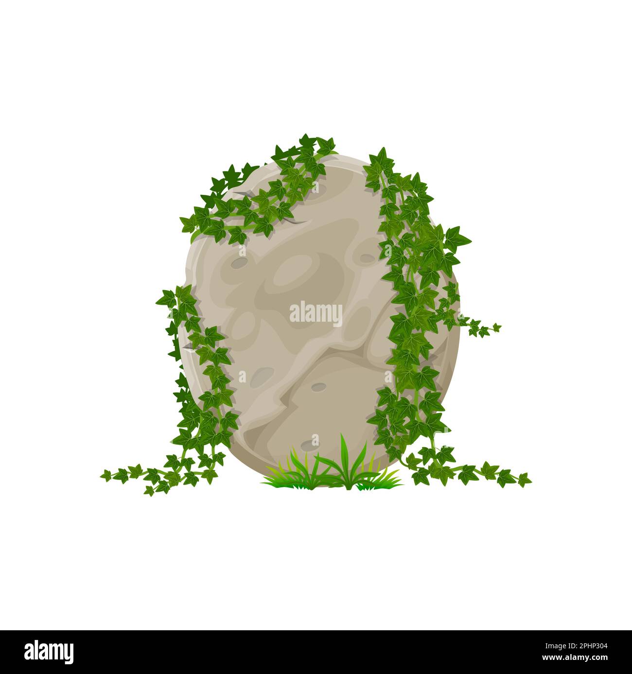 Green tropical foliage on boulder frame with tropical vine, user ...