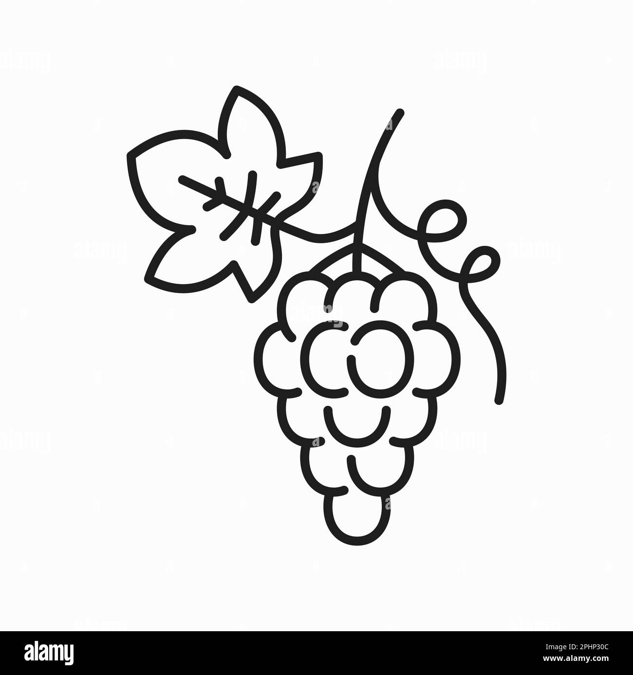 Grape berries isolated bunch with leaves outline icon. Vector organic ...