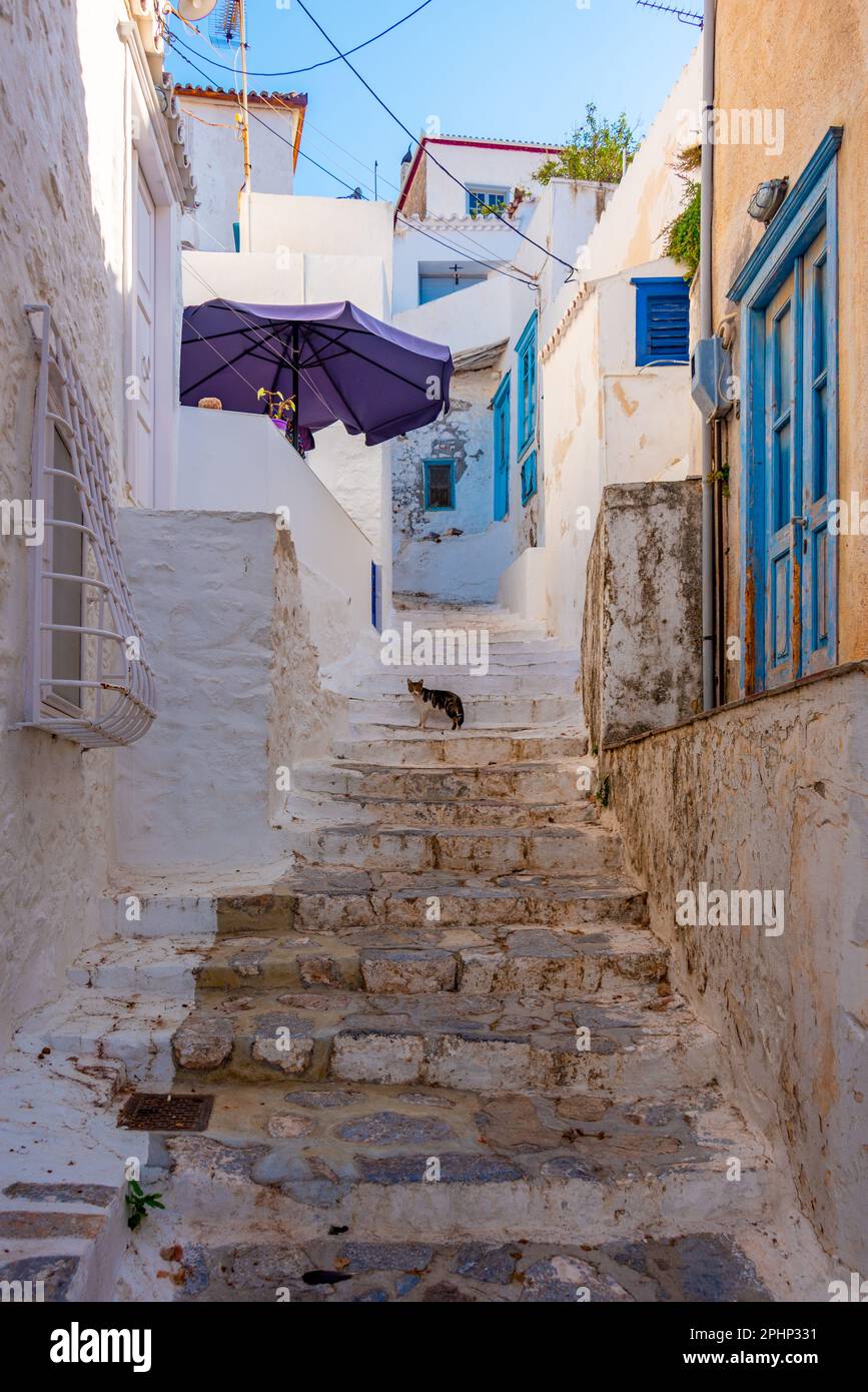 Summer day on a street in Greek town Hydra Stock Photo - Alamy