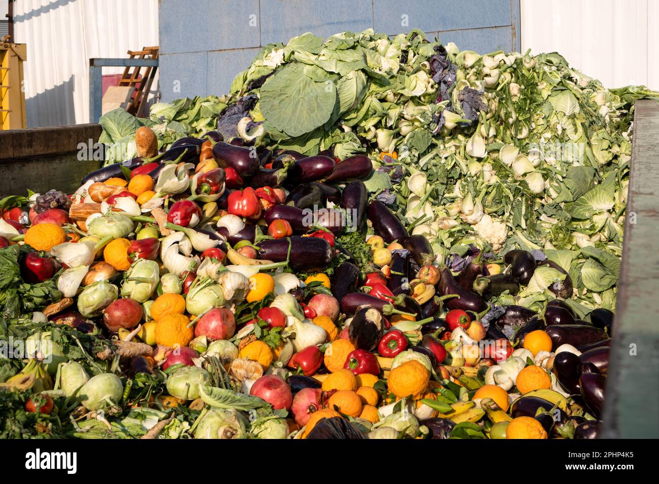 Expired Organic bio waste. Mix Vegetables and fruits in a huge ...