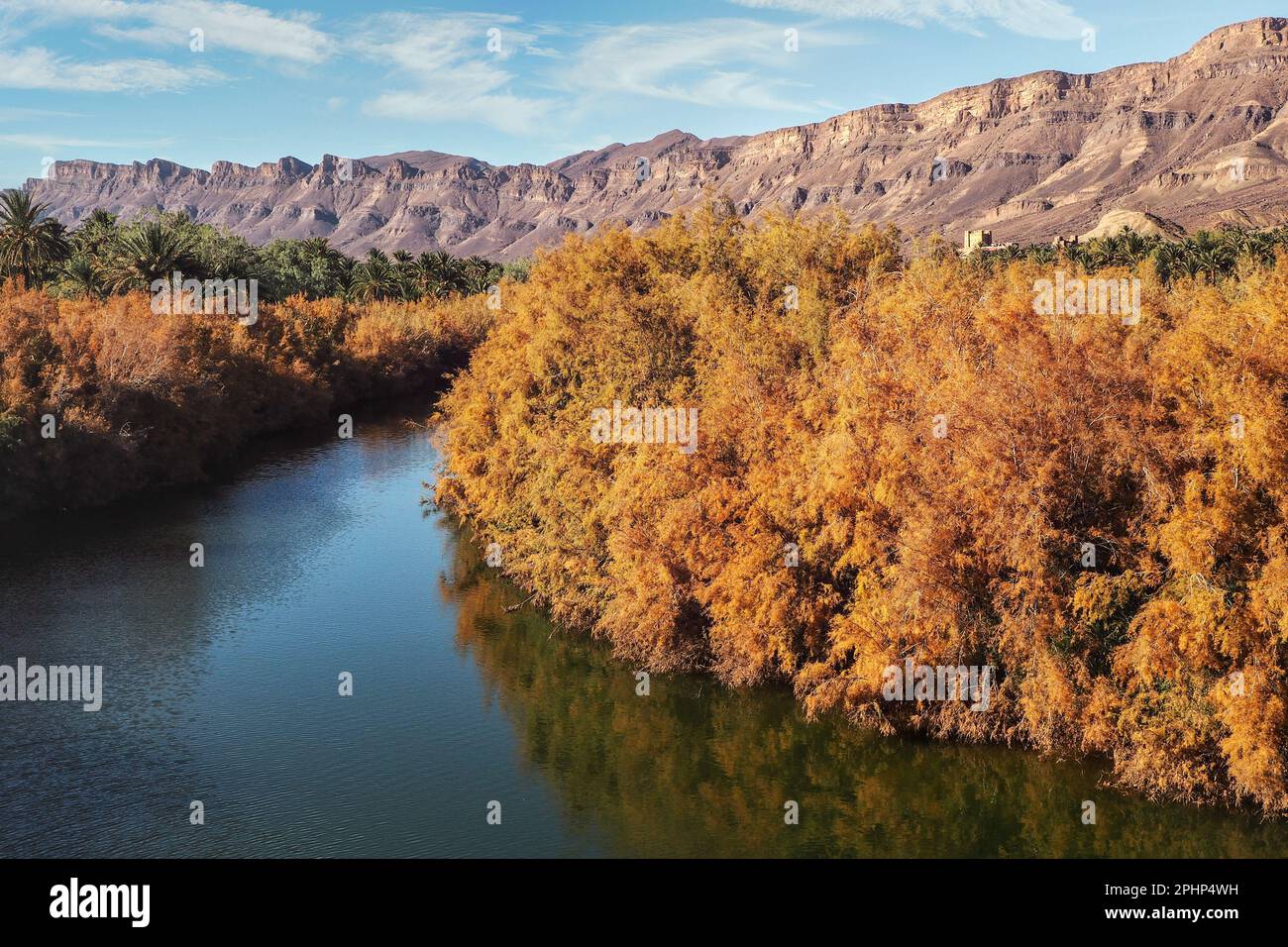 Small river, trees on both sides, oasis near - rocky desert mountains ...