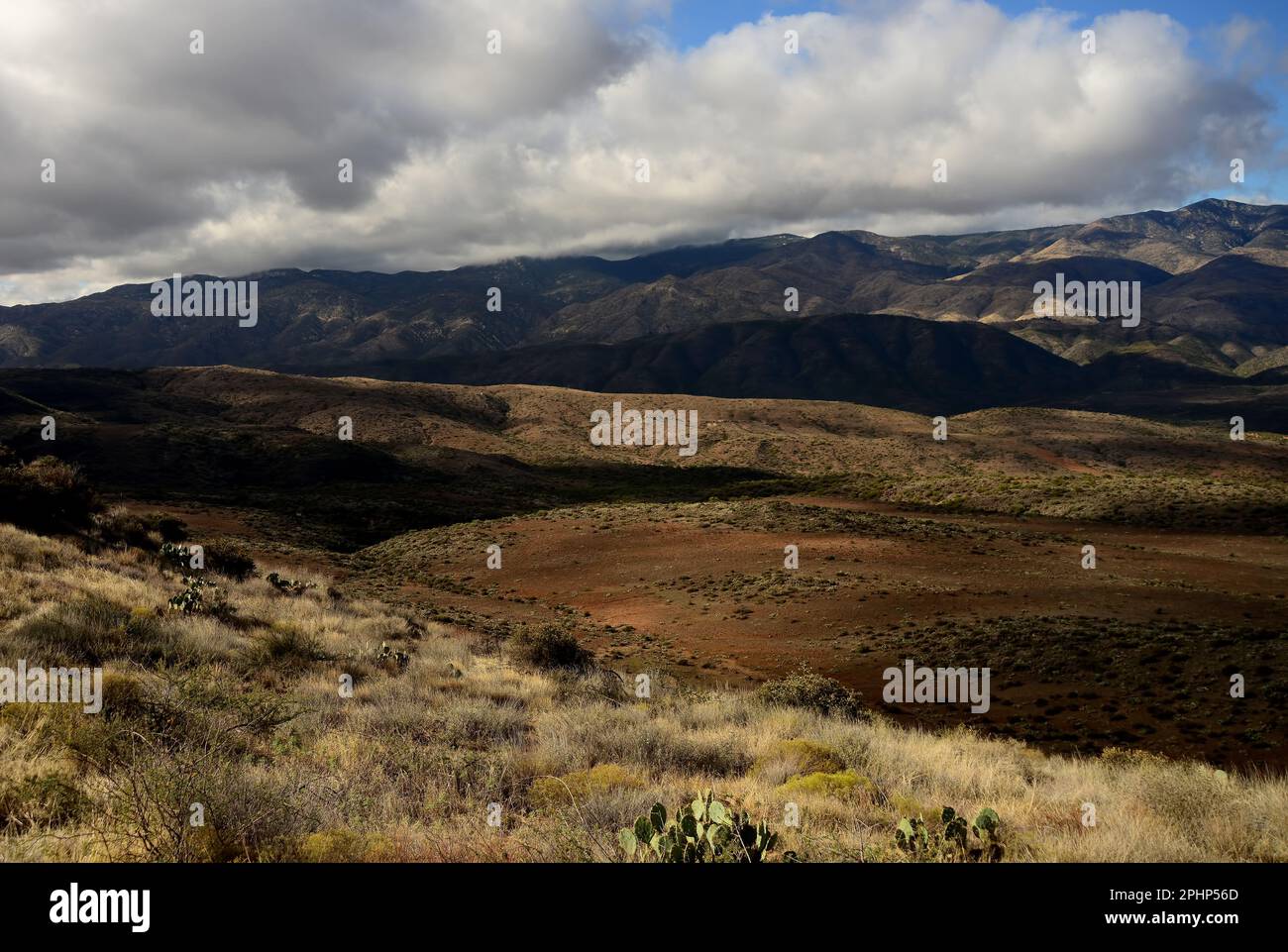 Foothills of Arizona between the Sonora Desert and the high plains ...