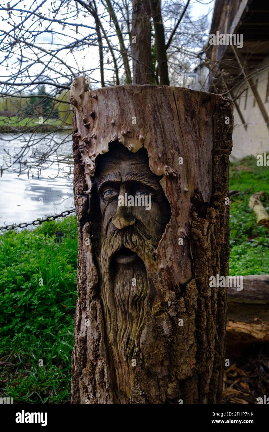 Old tree trunk with the face of an old looking person carved into the ...