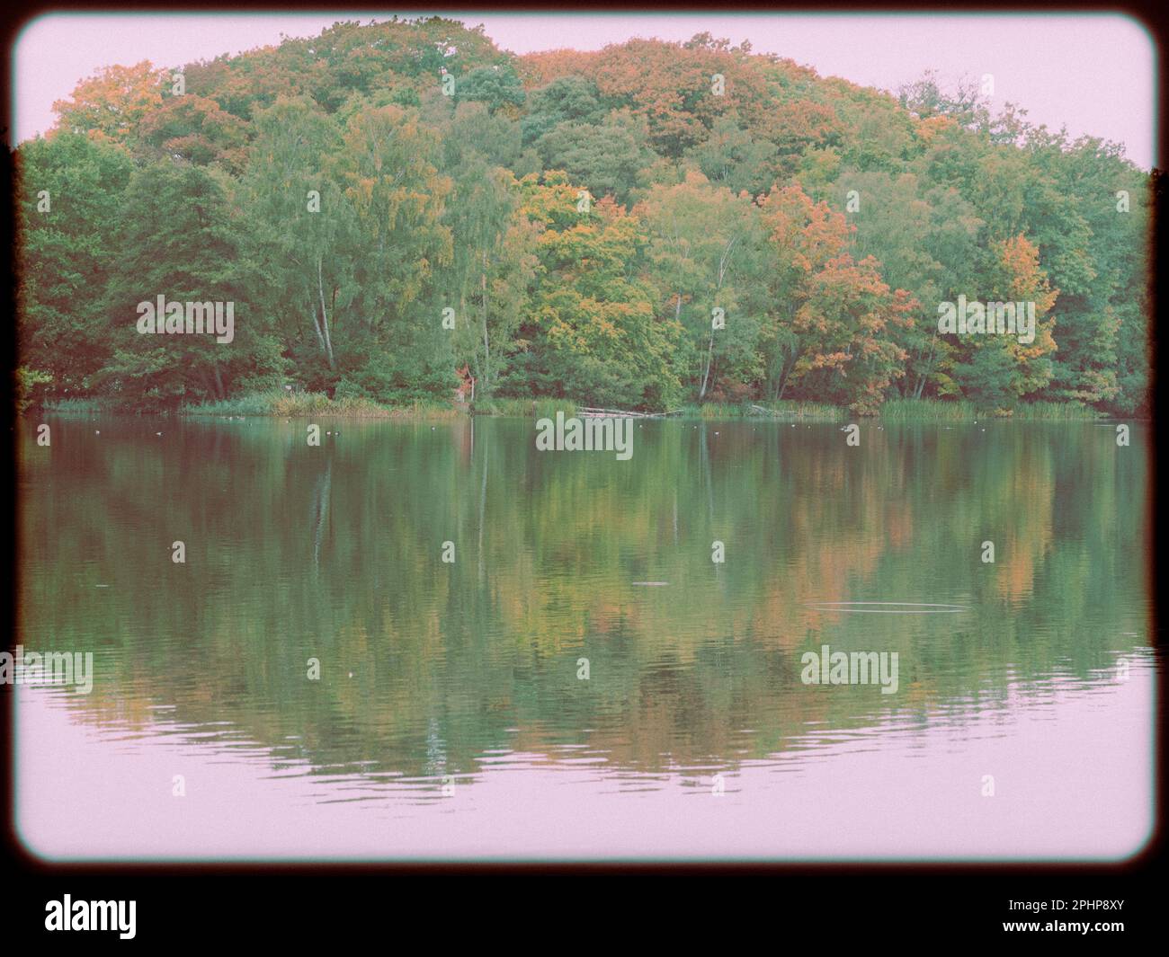Virginia Water Lake, Windsor Great Park, Windsor, England, UK, GB Stock ...