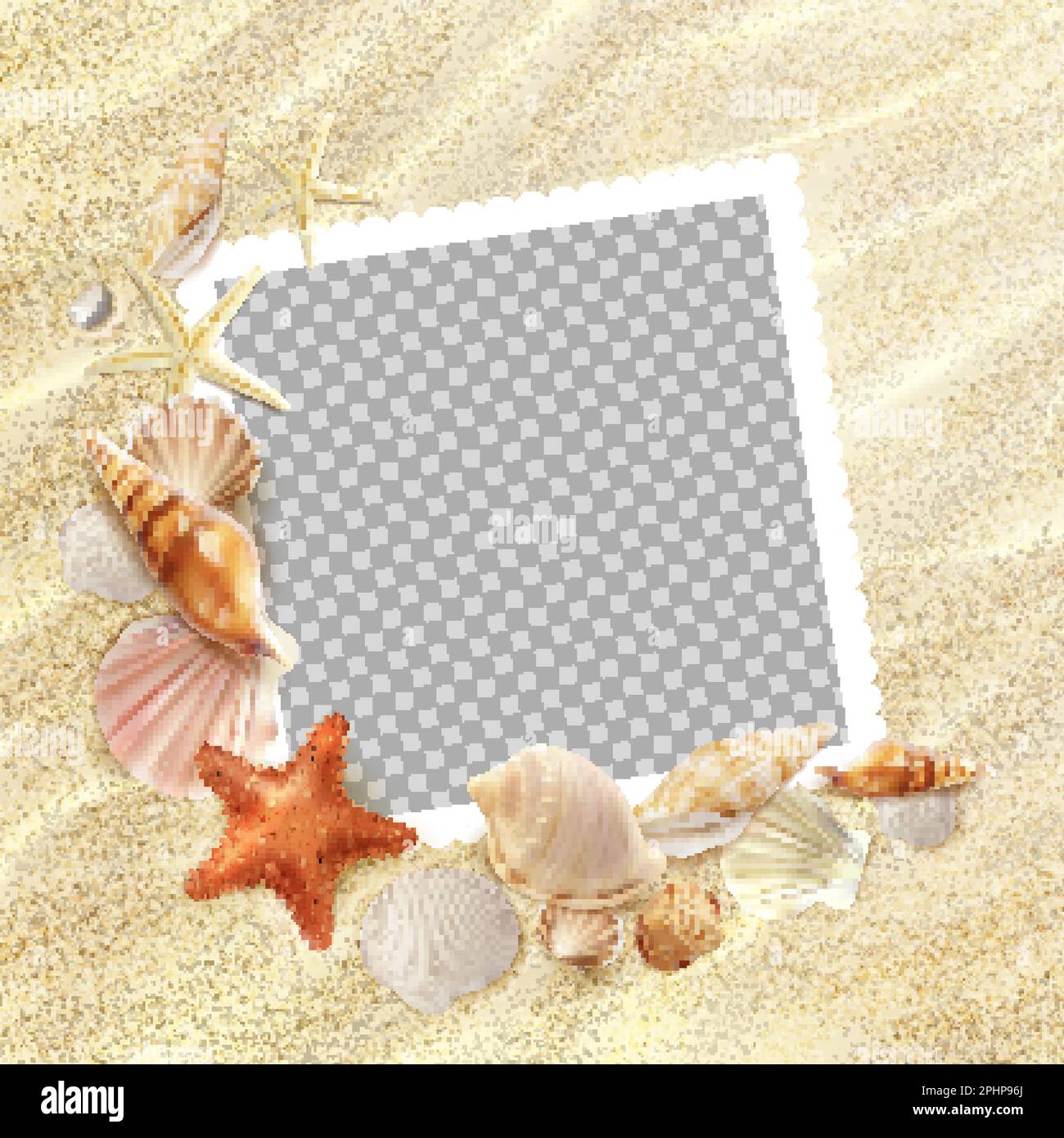 S top shell Stock Vector Images - Alamy