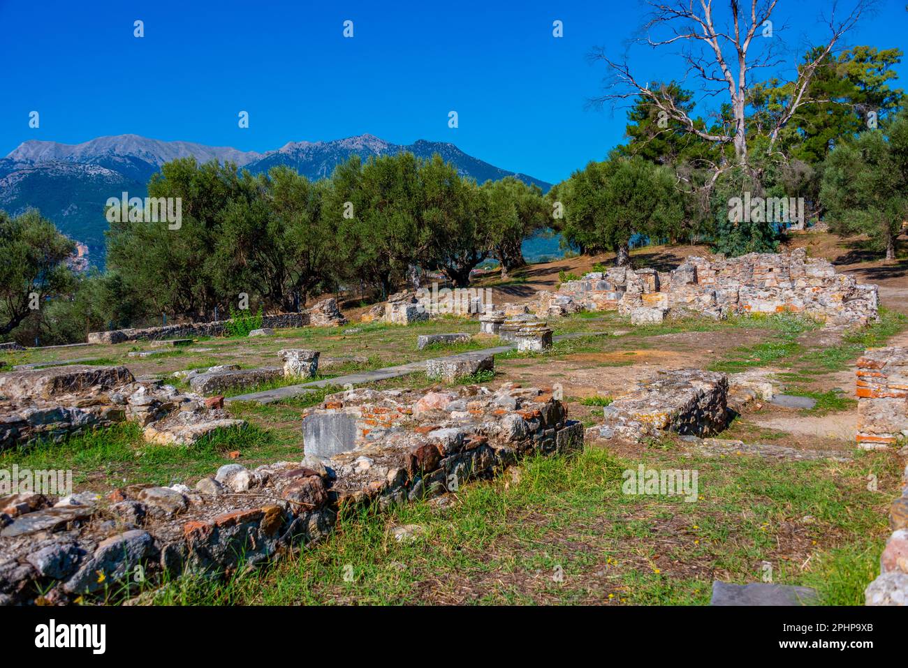 Archaeological Site of Sparta at Greece Stock Photo - Alamy