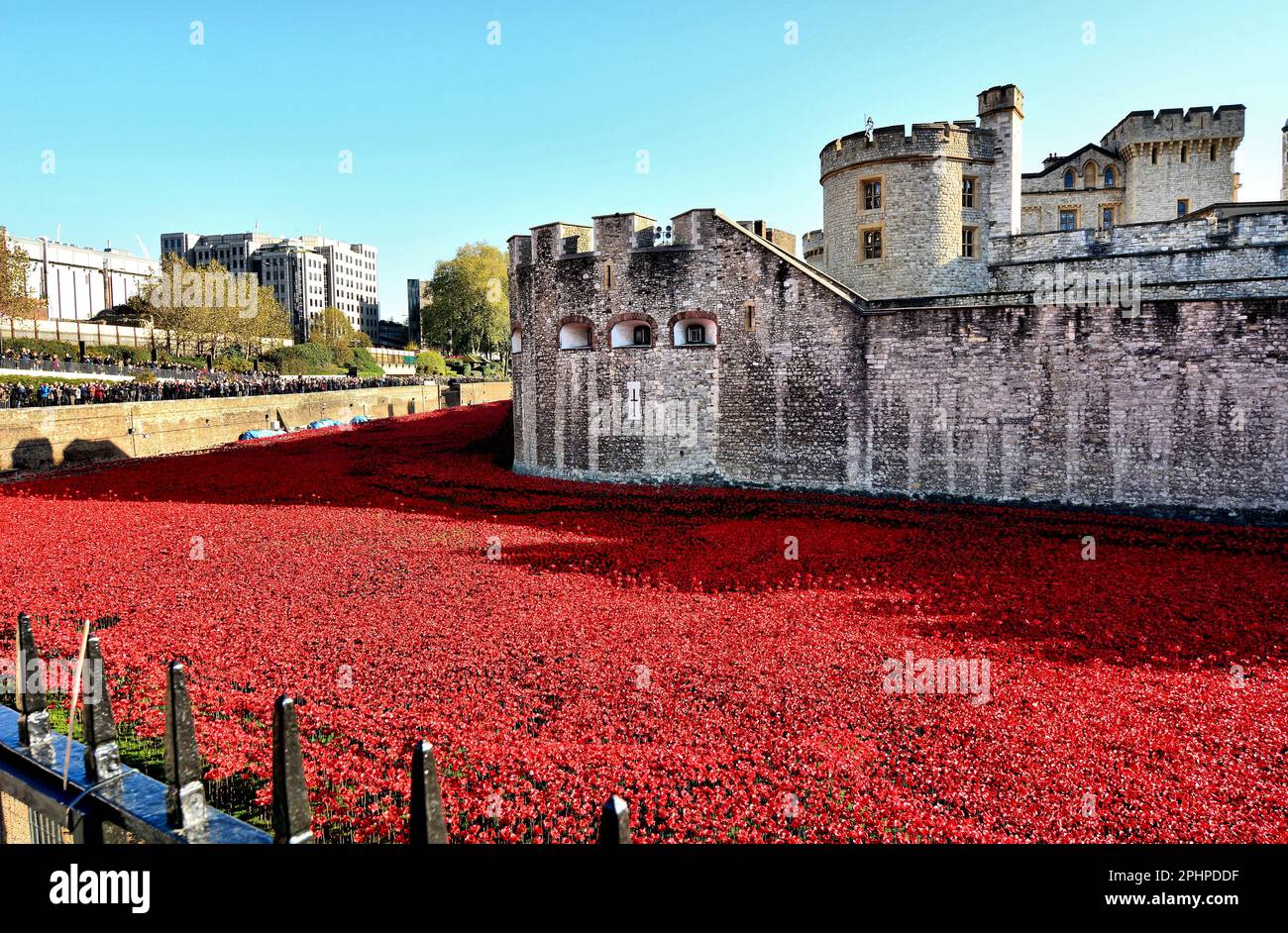 Remembrance poppy display hi-res stock photography and images - Alamy