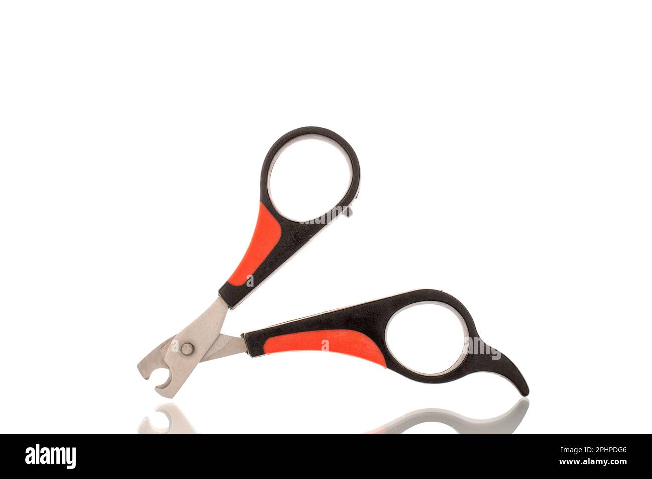 One pair of dog scissors, for trimming the claws, close-up, isolated on ...
