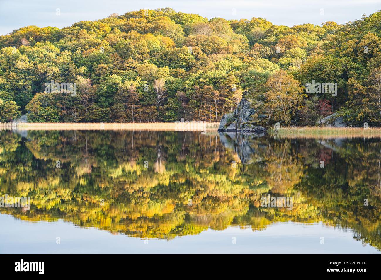 A silent, serene autumn scene in Sweden; tranquil lake water reflecting ...