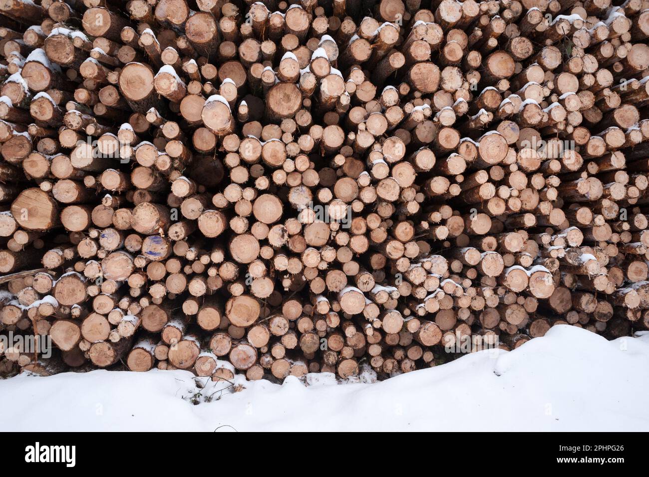 Logs paper mill hi-res stock photography and images - Alamy