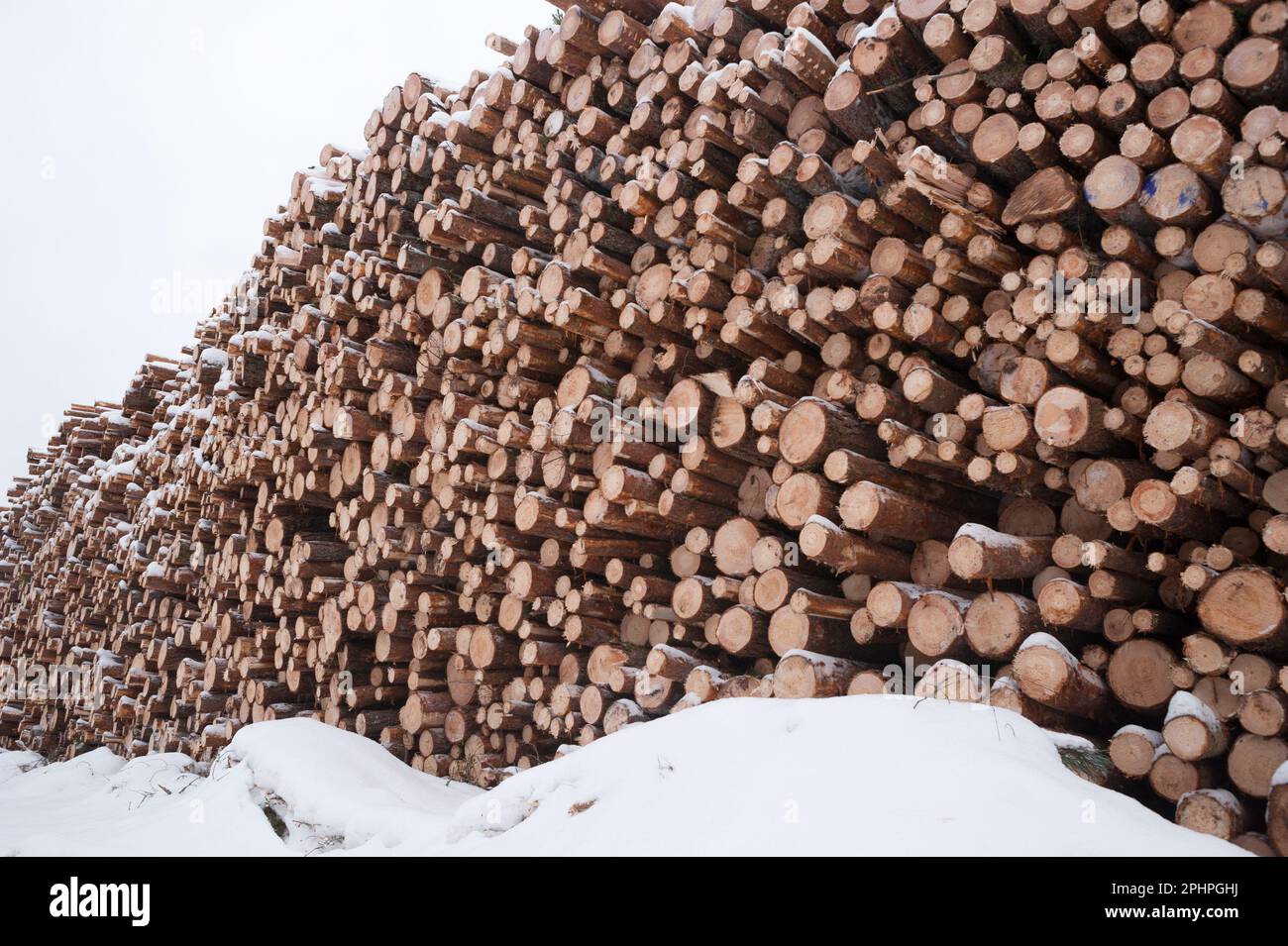 Log effect hi-res stock photography and images - Alamy