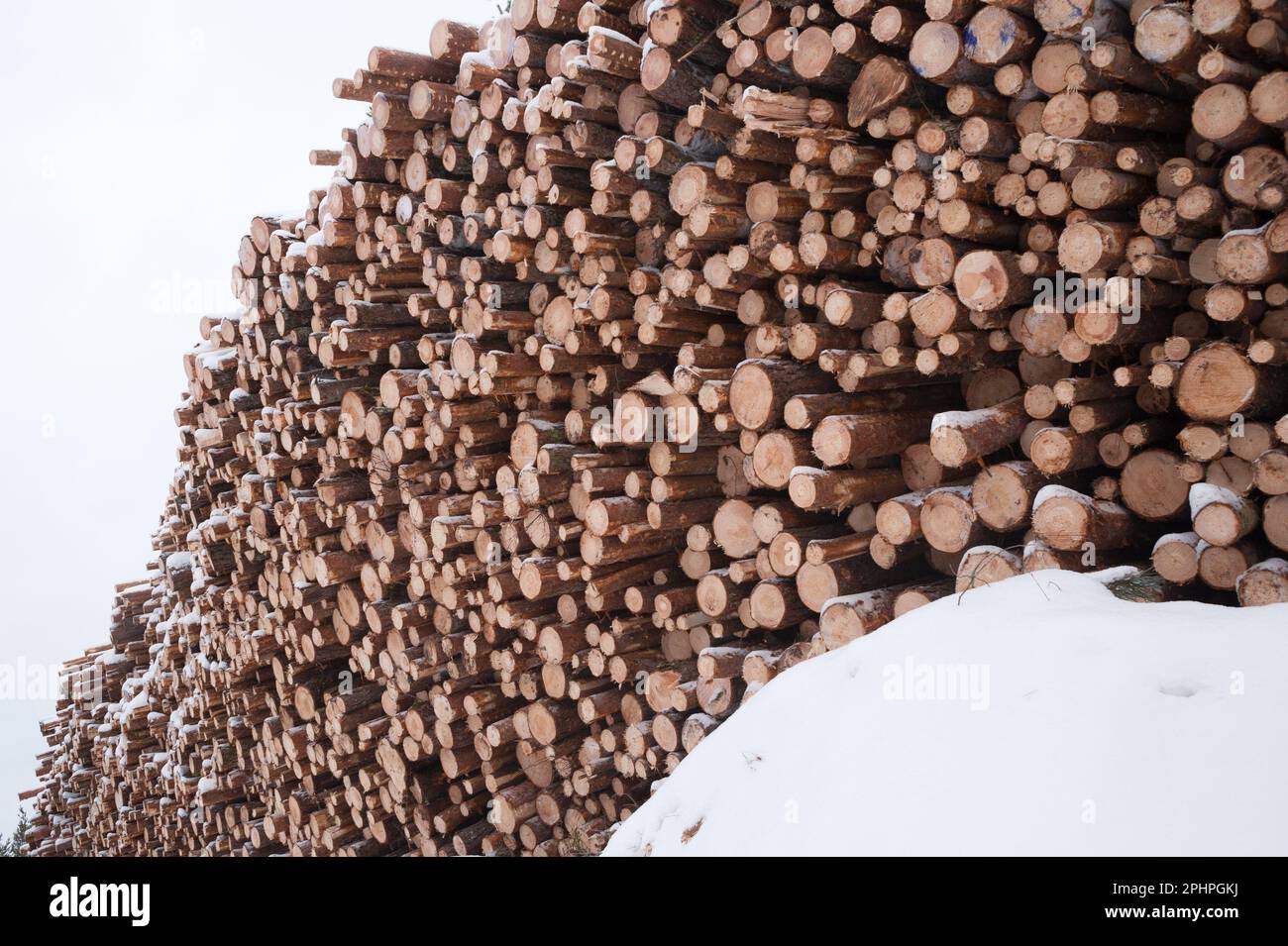 Logs paper mill hi-res stock photography and images - Alamy